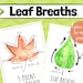 Kids Printable Relaxation Activity, Leaf Breaths a Mindful Nature ...