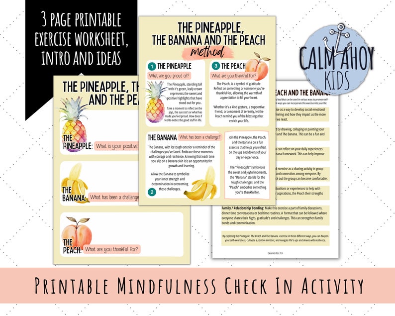 Mindfulness Communication Feelings Check in Tool | the Pineapple the ...