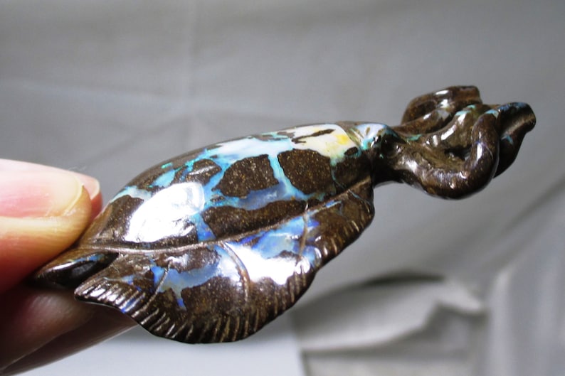 Boulder Opal Cuttlefish Carving 121 Carat Australia | Etsy