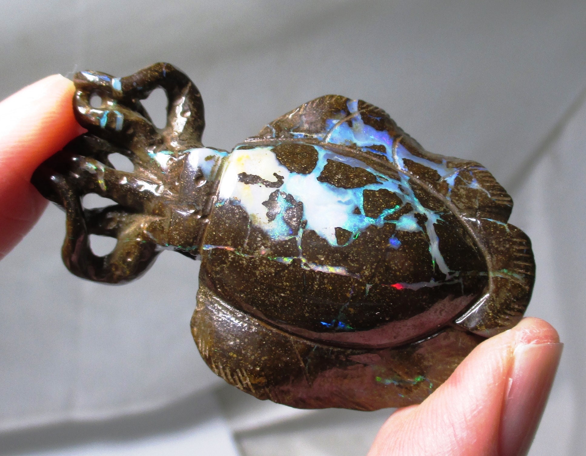 Boulder Opal Cuttlefish Carving 121 Carat Australia | Etsy