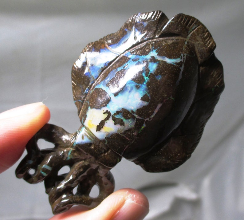 Boulder Opal Cuttlefish Carving 121 Carat Australia | Etsy
