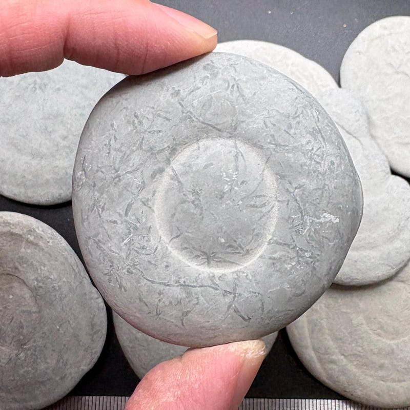 Canada Fairy Stone - Etsy