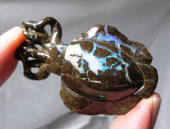 Boulder Opal Cuttlefish Carving 121 Carat Australia | Etsy