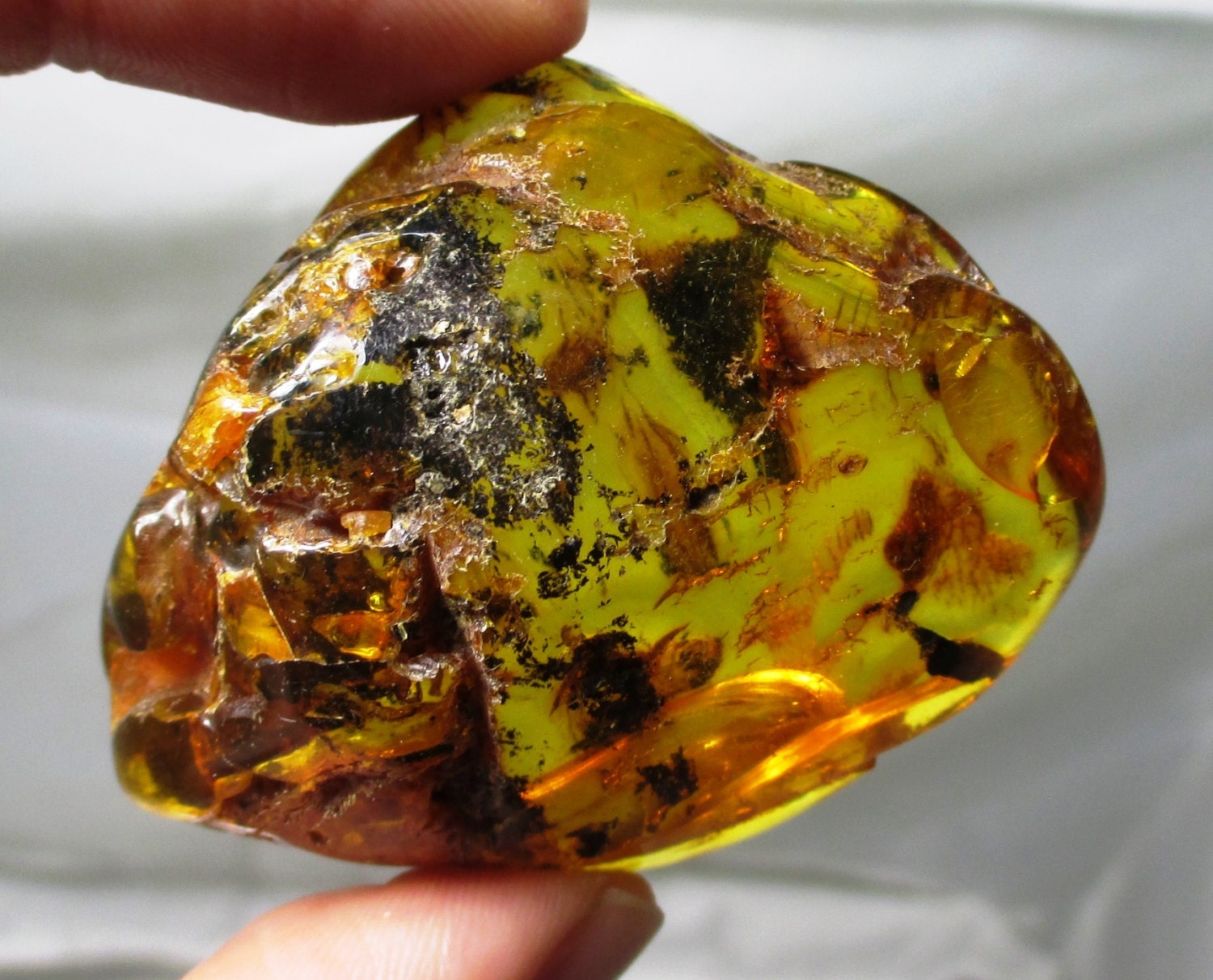 Baltic Amber Semi-polished Specimen - 29.2 Grams - Natural Fossil - Etsy