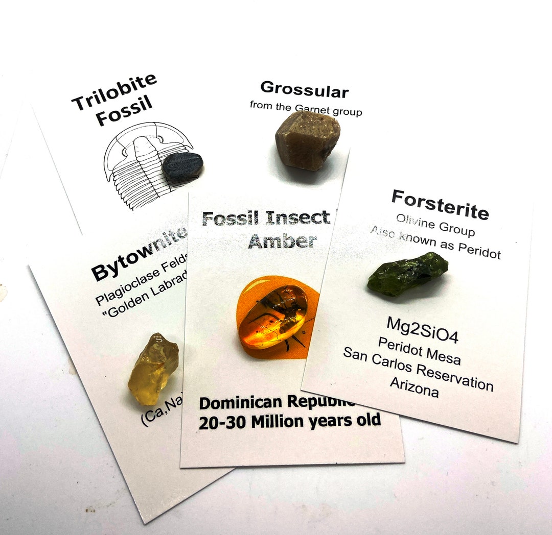 Special 10 Piece Instant Collection! Ten Labelled Minerals, Fossils ...