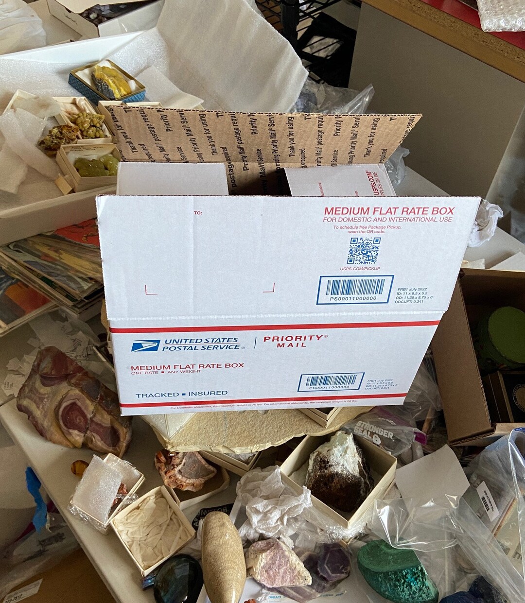 Mystery Box! Rocks, Minerals, Fossils, Crystals, Etc - Geologic Mystery ...
