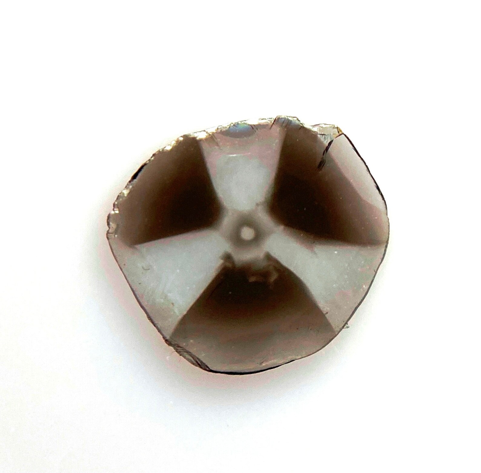 Rare 0.19 Carat Trapiche Diamond Slice Natural Diamond - Etsy