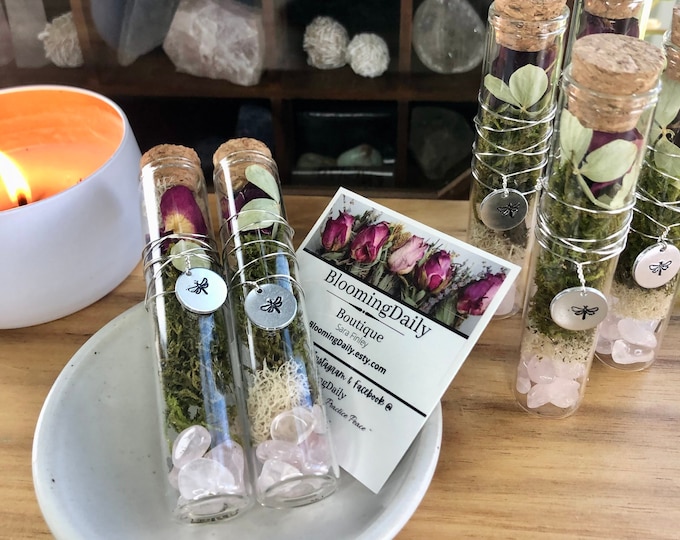 Terrarium Intention Jar, Botanical & Crystal Spell Jar, Fairy Moss Jar ...
