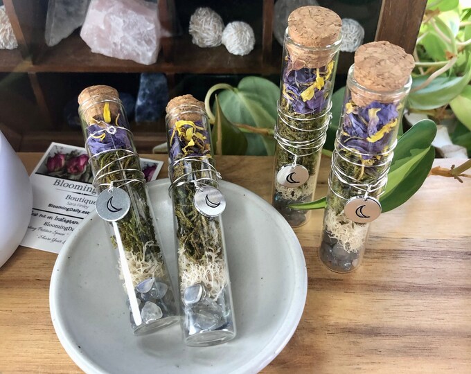 Terrarium Intention Jar, Botanical & Crystal Spell Jar, Fairy Moss Jar, Cottagecore Design ...