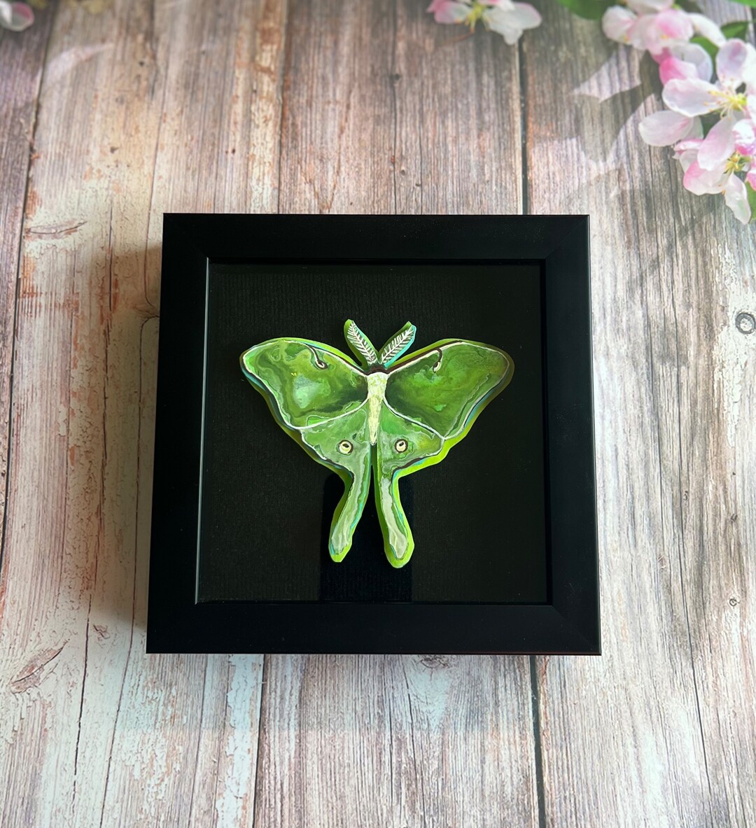 Luna Moth Shadow Box Art, Boho Moth Art, Framed Moth Art, Dark Academia ...