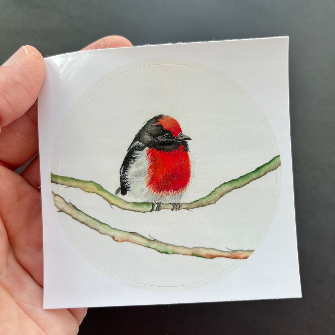Bird Stickers, Red Bird Stickers, 2 Inch Vinyl Bird Watcher Sticker ...