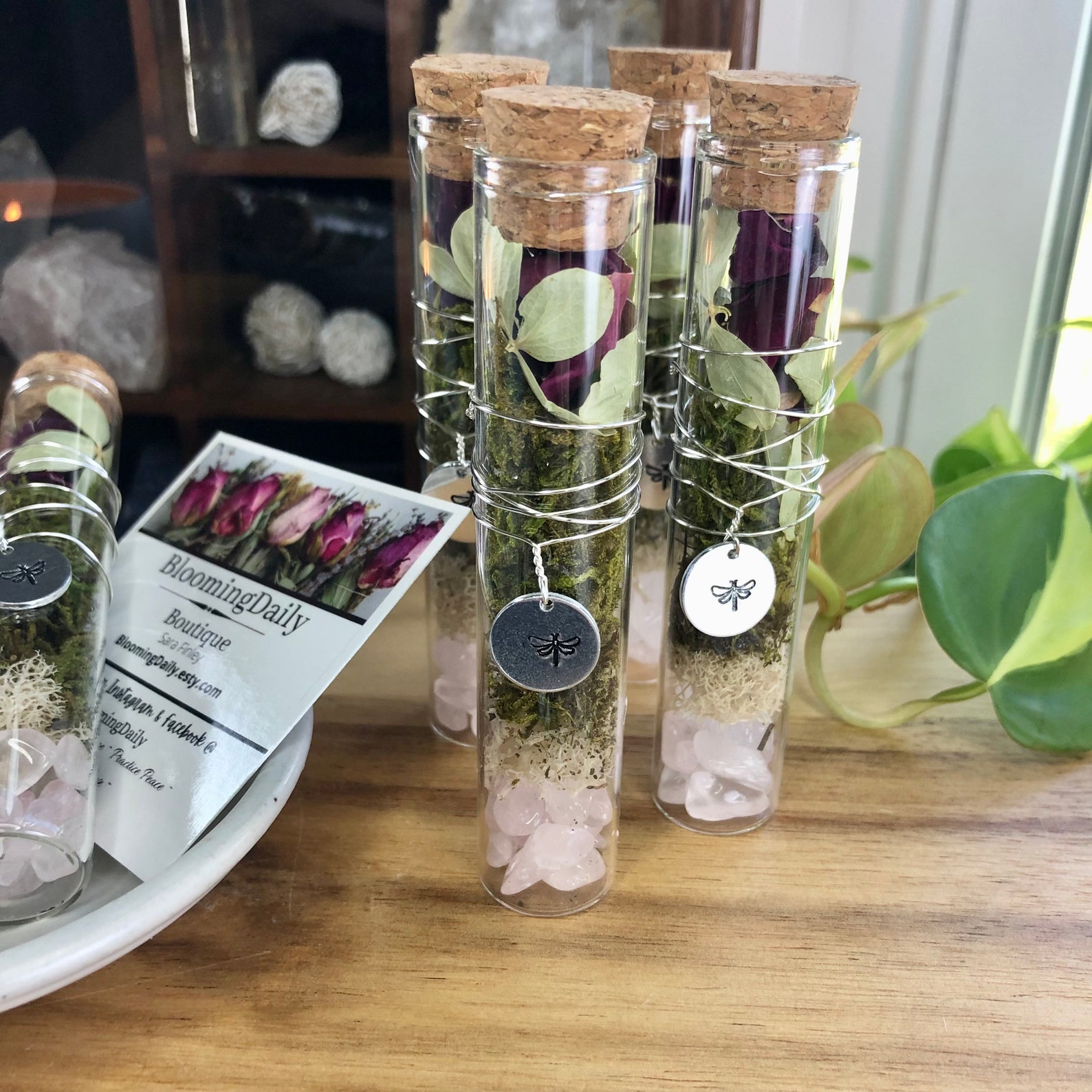 Terrarium Intention Jar Botanical & Crystal Spell Jar Fairy - Etsy