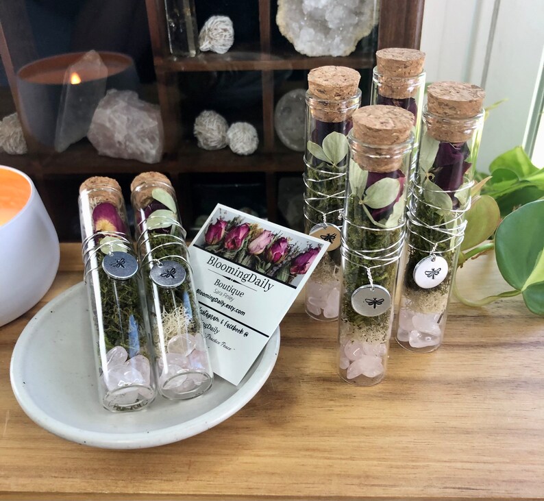 Terrarium Intention Jar Botanical & Crystal Spell Jar Fairy - Etsy