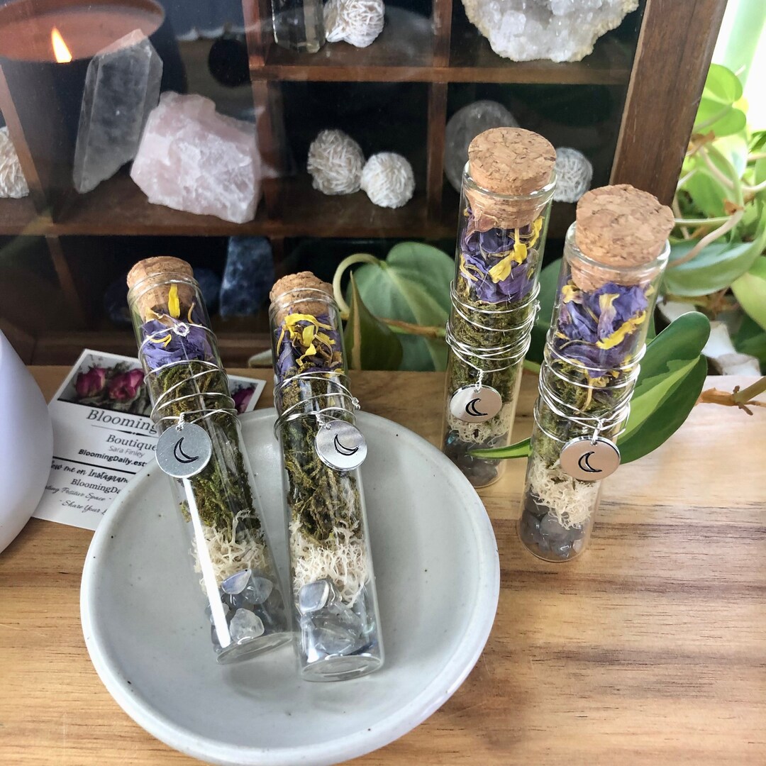 Terrarium Intention Jar, Botanical & Crystal Spell Jar, Fairy Moss Jar ...