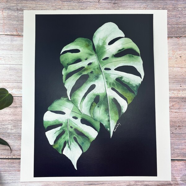 Variegated Monstera - Etsy