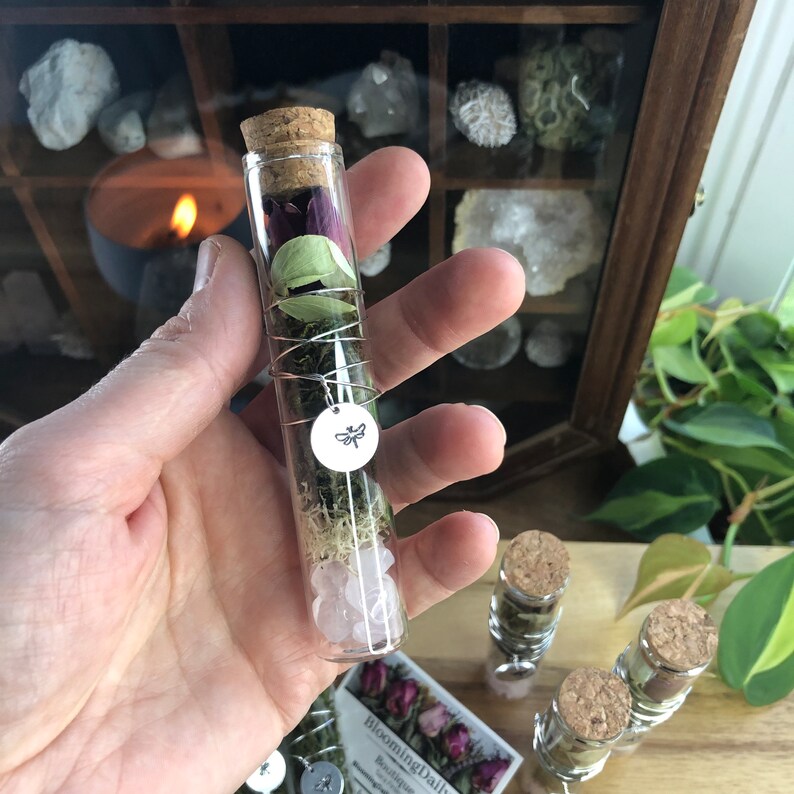 Terrarium Intention Jar Botanical & Crystal Spell Jar Fairy - Etsy