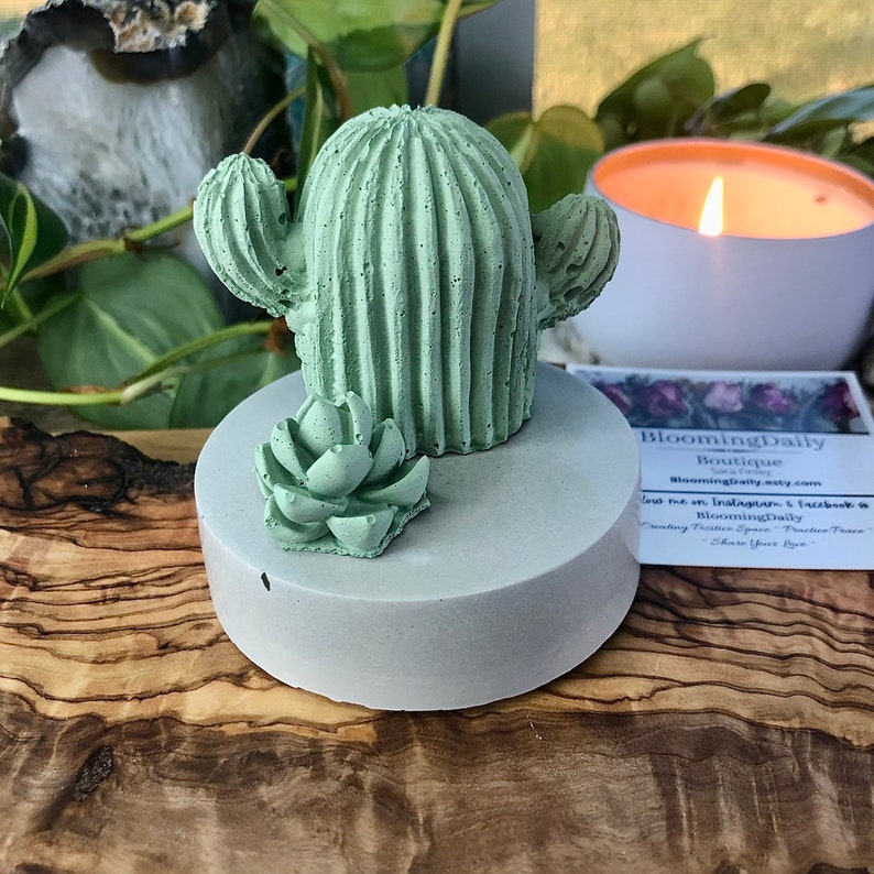 Succulent Passive Room Diffuser Essential Oil Room Diffuser - Etsy