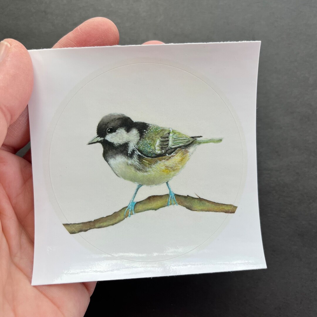 Bird Stickers, Chickadee Bird Stickers, 2 Inch Vinyl Bird Watcher ...