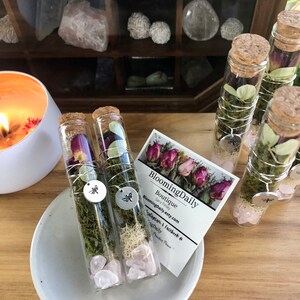 Terrarium Intention Jar Botanical & Crystal Spell Jar Fairy - Etsy