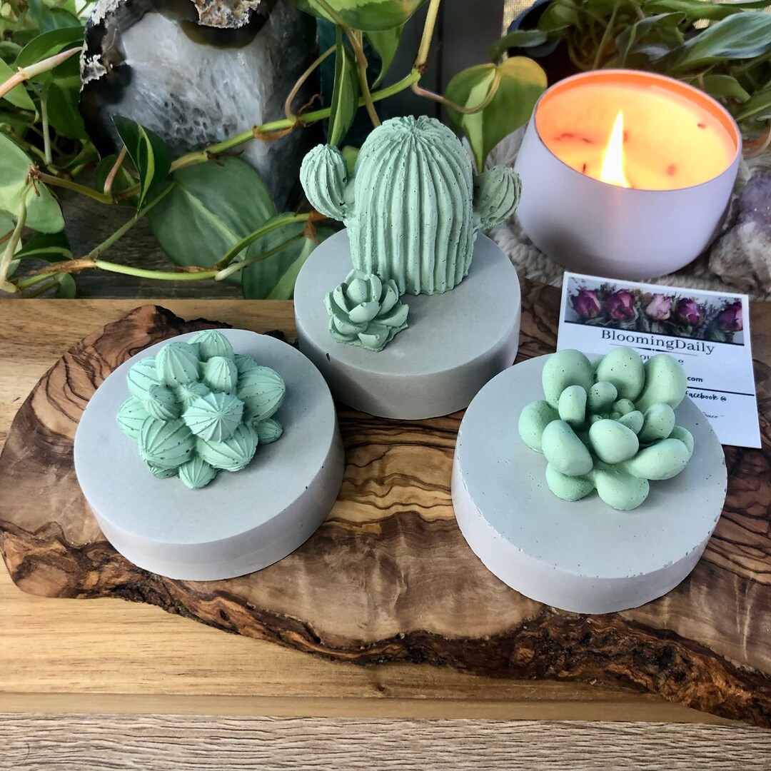 Succulent Passive Room Diffuser Essential Oil Room Diffuser - Etsy