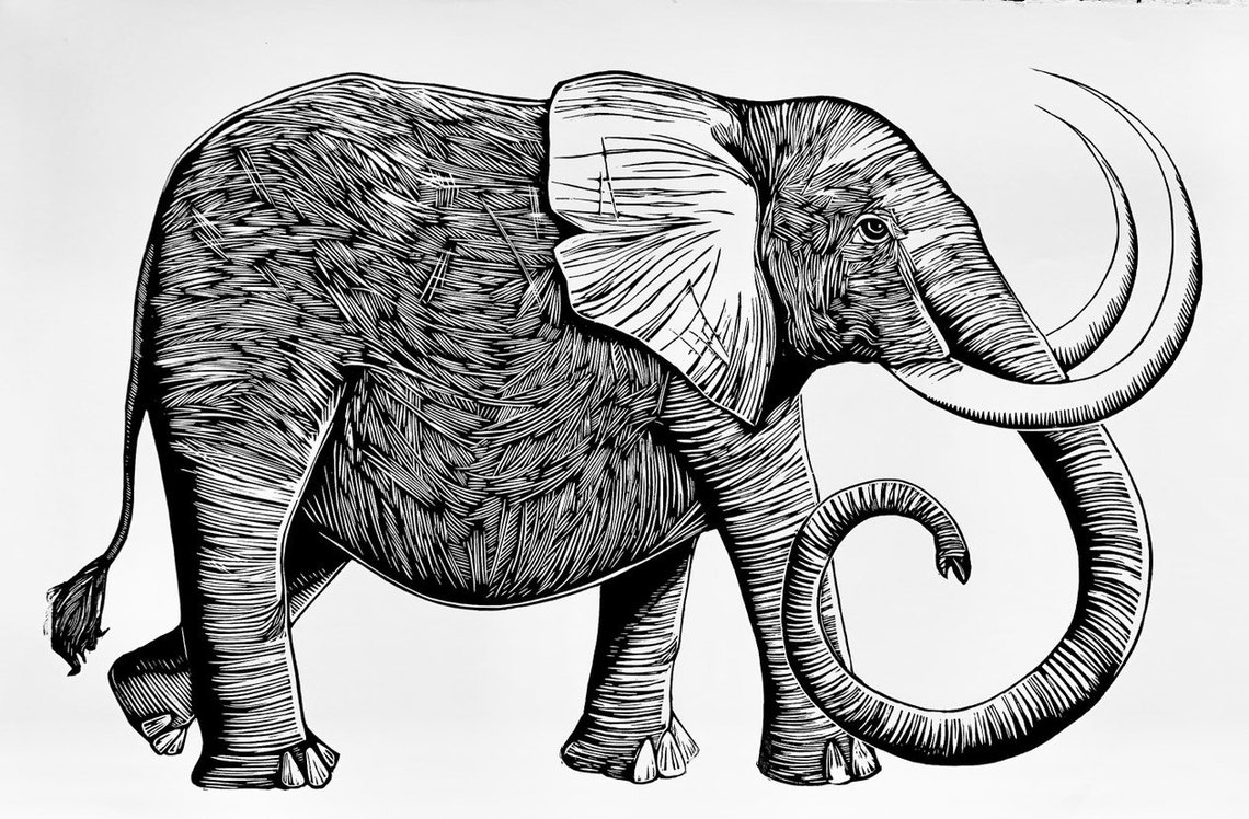 LARGE Woodcut Elephant Print - Hand Drawn, Carved and Printed - Etsy