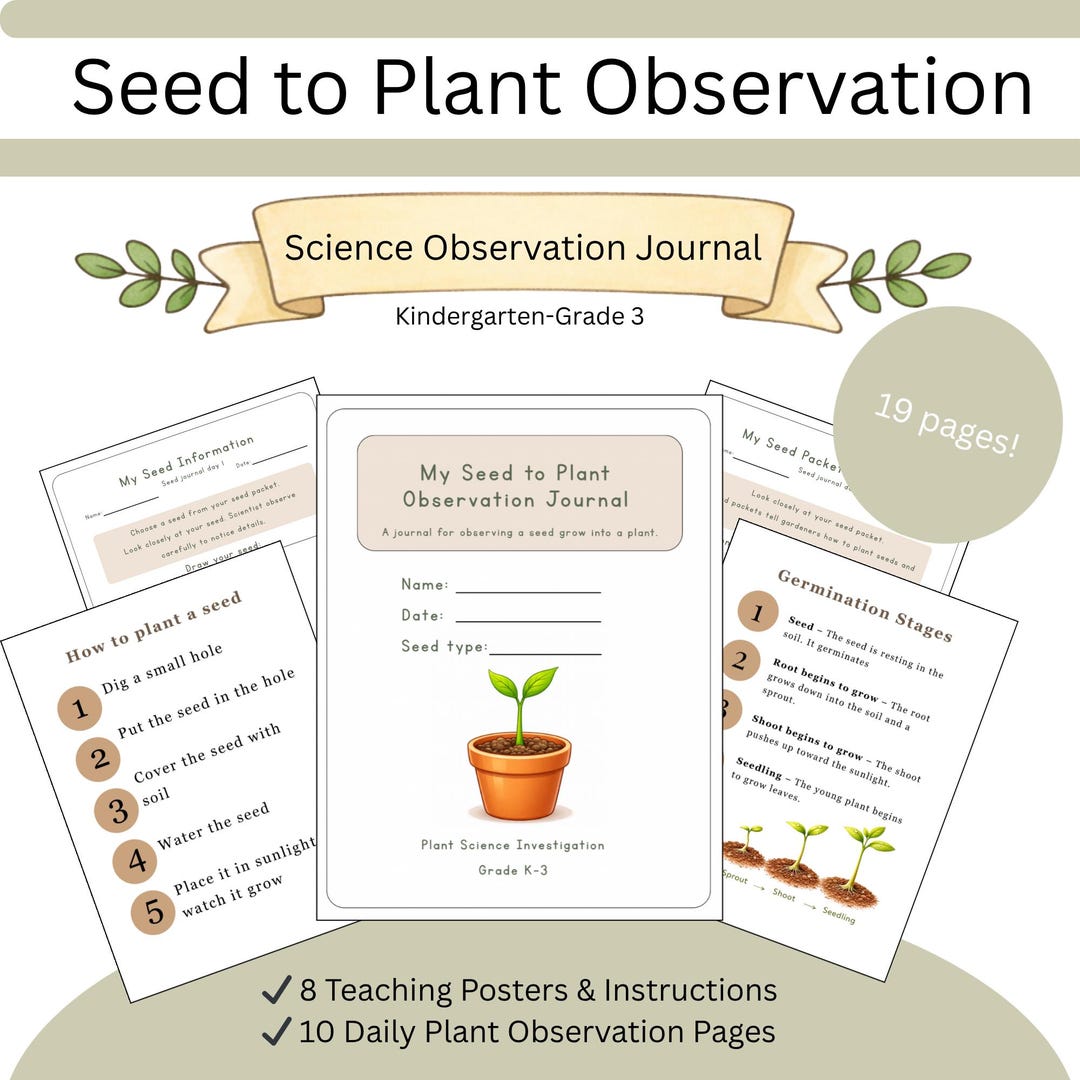 Seed to Plant Observation Journal | 10-day Growth Study (PDF Printable ...