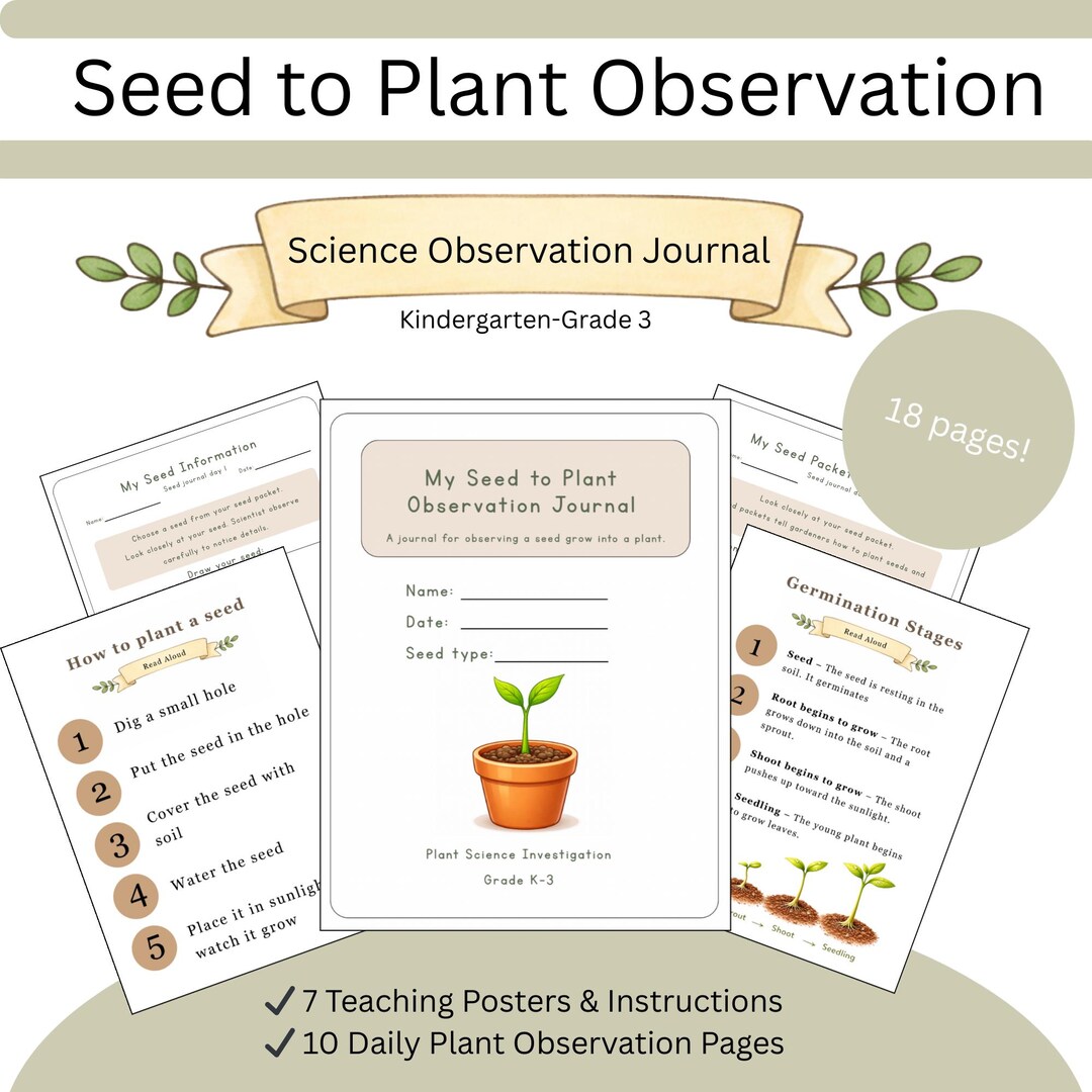 Seed to Plant Observation Journal | 10-day Growth Study (PDF Printable ...