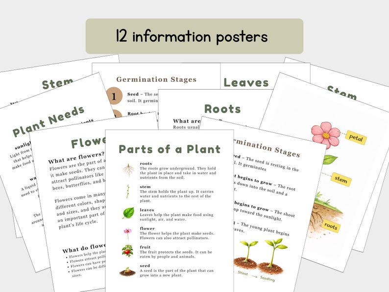 Plant Study Bundle | Posters, Worksheets, Flashcards (digital Download ...