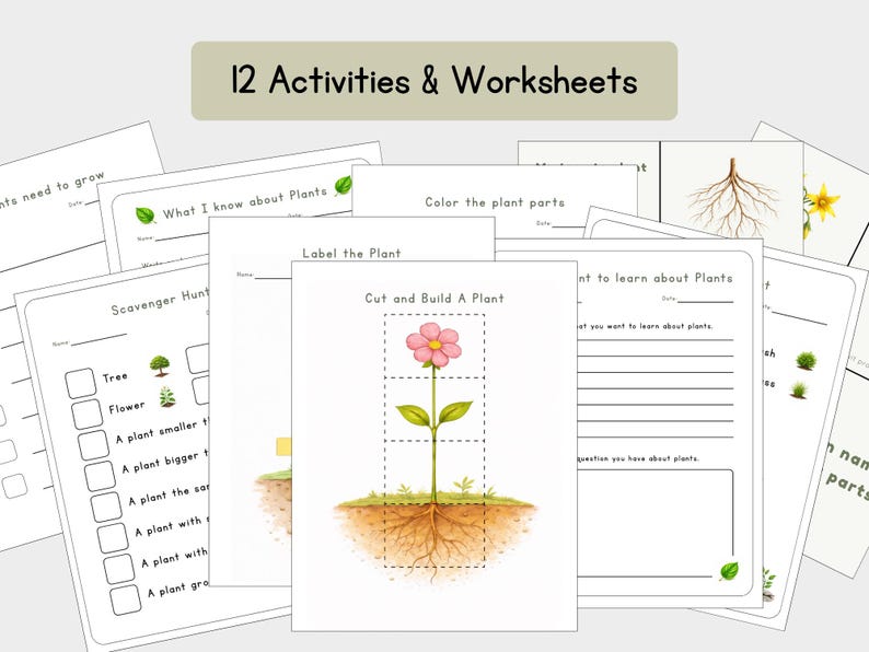 Plant Study Bundle | Posters, Worksheets, Flashcards (digital Download ...