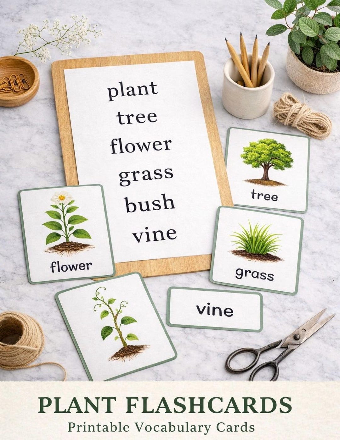 Mega Plant Vocabulary Flashcards & Posters | Homeschool Science ...