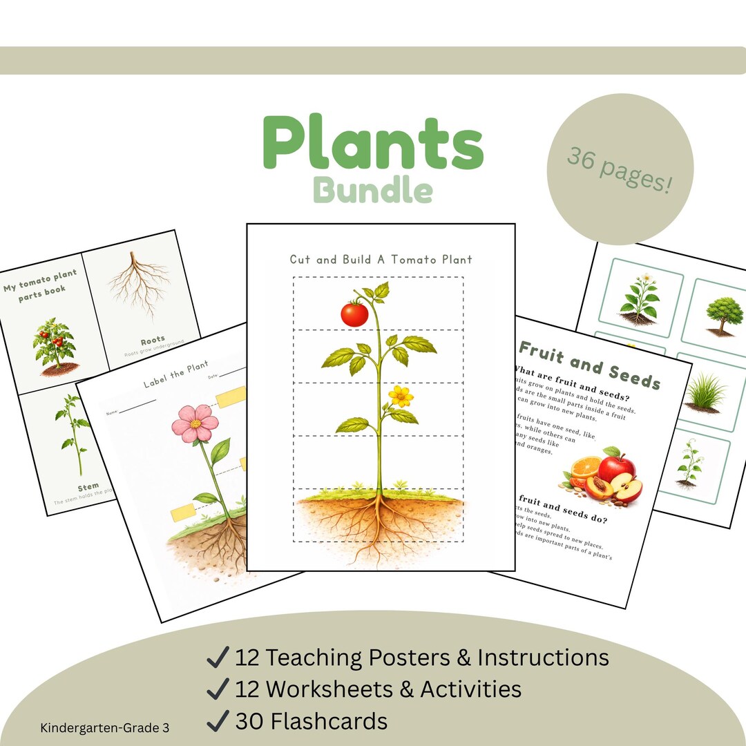 Plant Study Bundle | Posters, Worksheets, Flashcards (digital Download ...