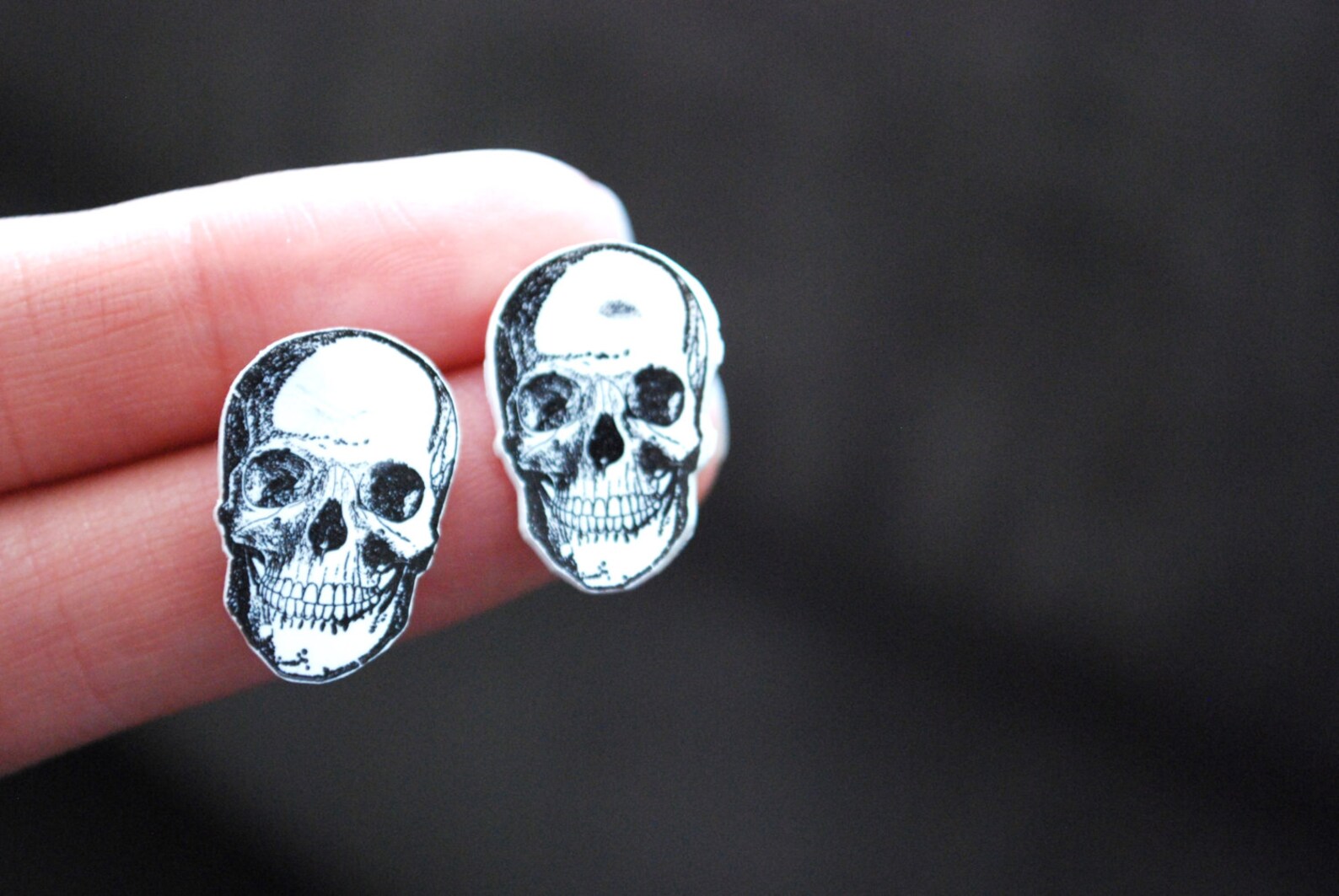 Skull Earrings -- Skull Head Earrings, Skull Studs, Black and White ...