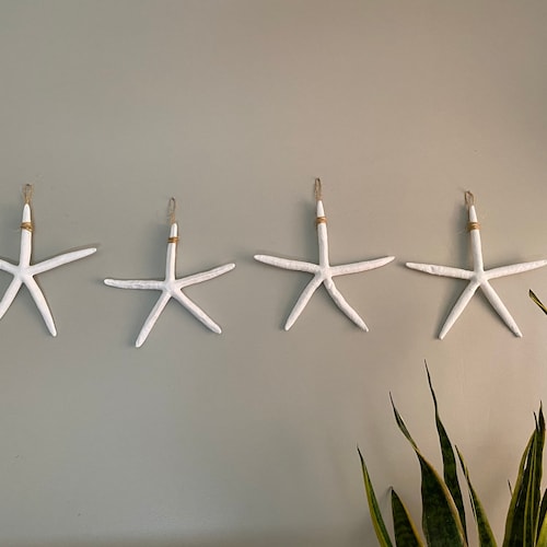 Large Hanging Starfish | Etsy