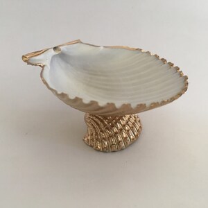 Mini Seashell Ring Holder Gold Seashell Jewelry Holder - Etsy