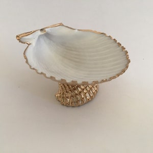 Mini Seashell Ring Holder Gold Seashell Jewelry Holder - Etsy