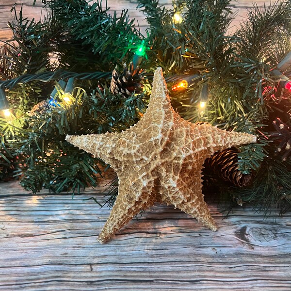 Starfish Tree Topper - Etsy