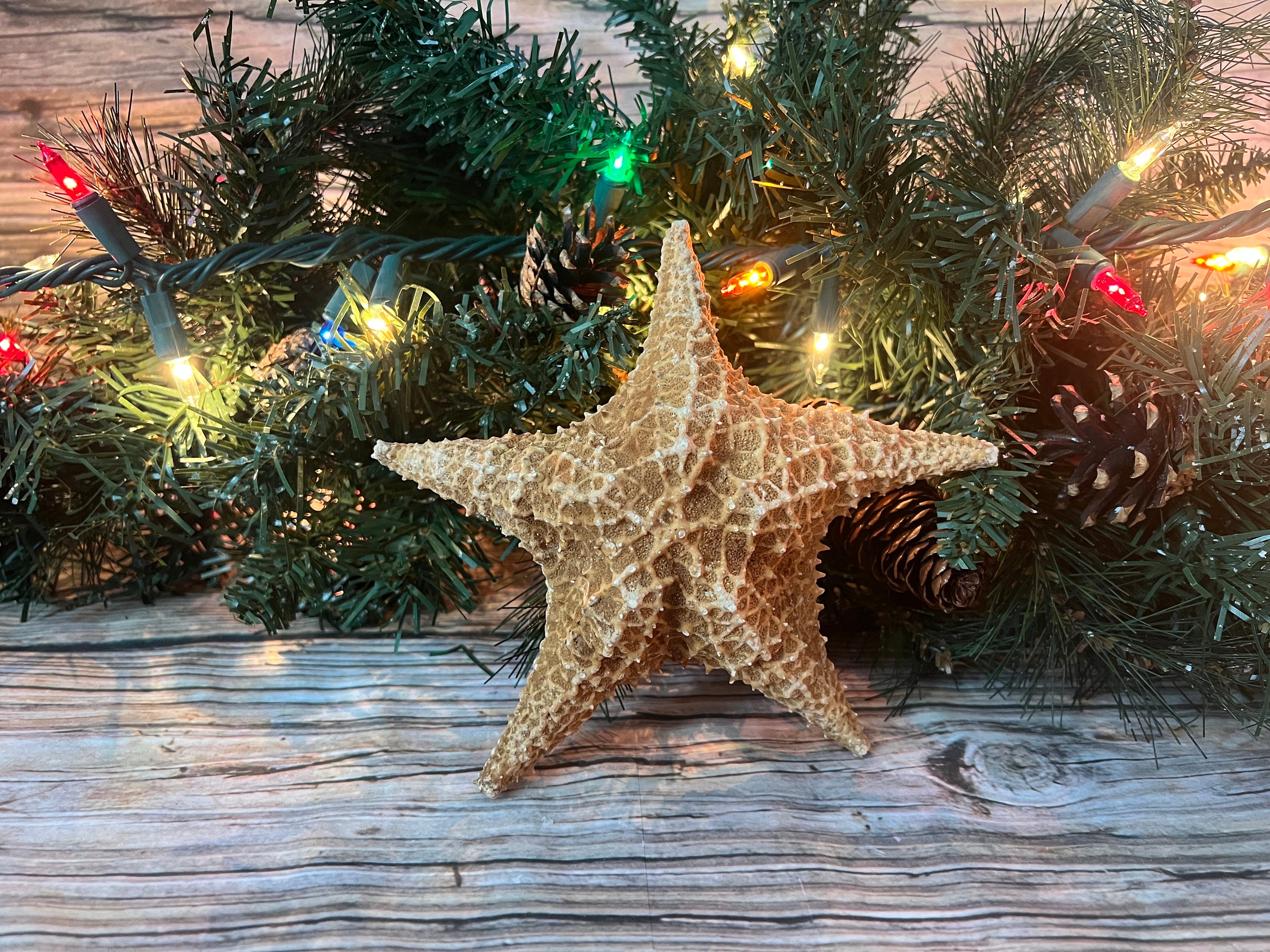 Starfish Christmas Tree Topper, 6 - 7 Inch Starfish Tree Topper ...