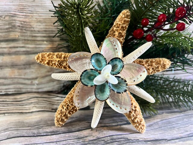 SeaToLandDesigns - Etsy