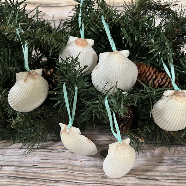 Seashell Christmas Ornaments - Etsy