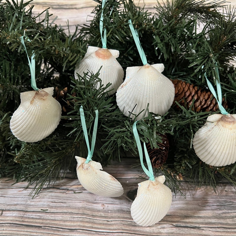 Shell Ornaments - Etsy