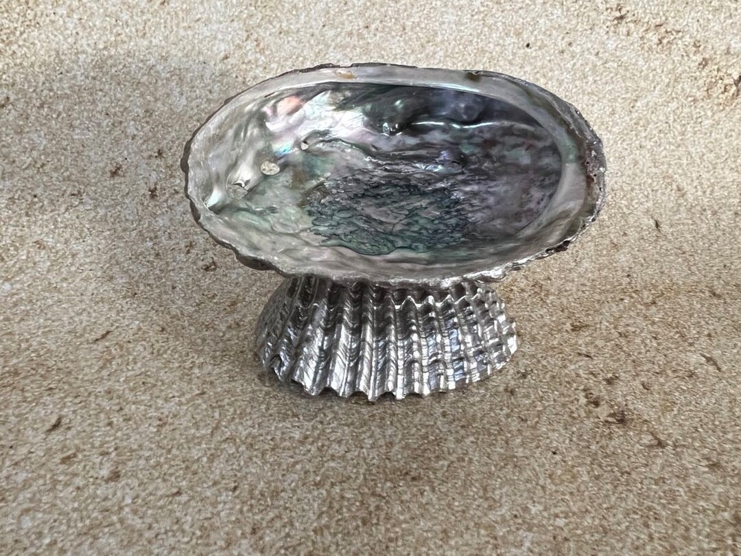 Mini Abalone Seashell Ring Dish, Real Seashell Jewelry Holder, Sea ...