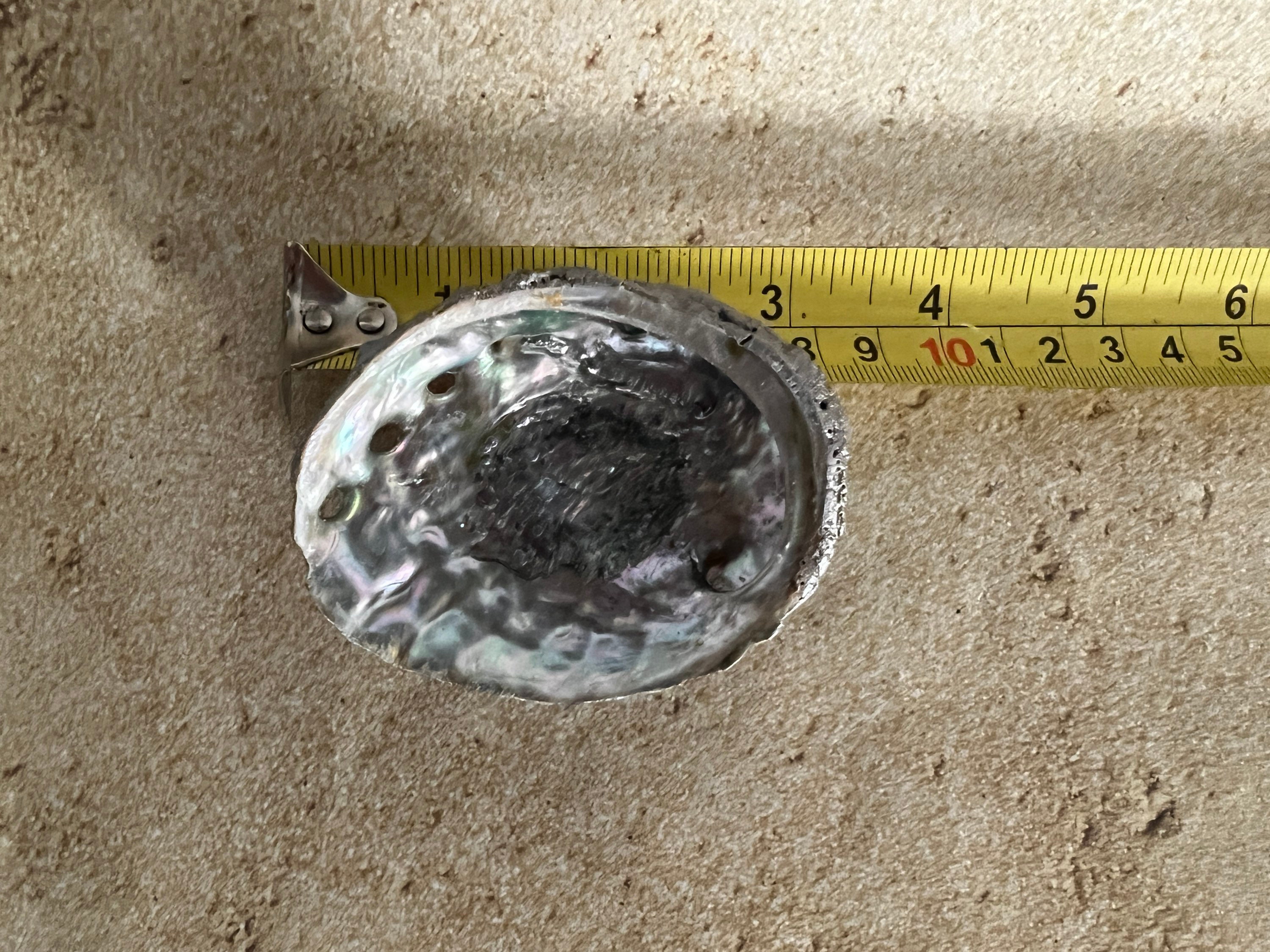 Mini Abalone Seashell Ring Dish Real Seashell Jewelry Holder - Etsy