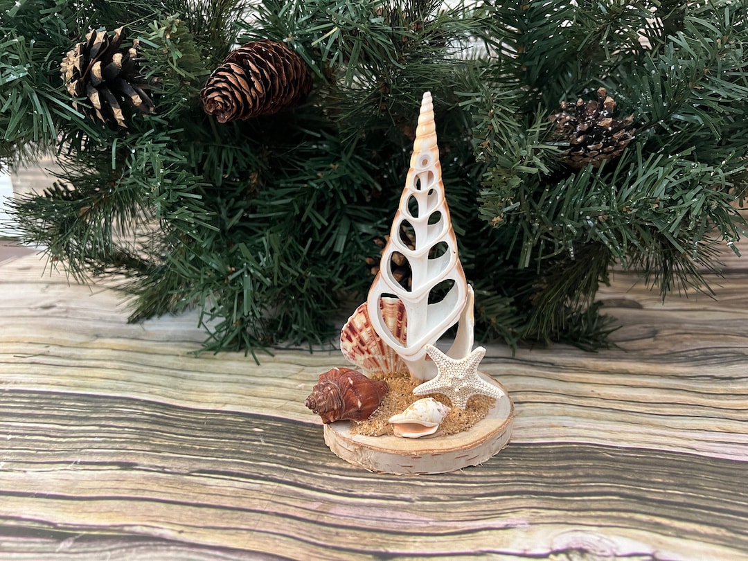 Seashell Christmas Tree Beach Theme Coastal Winter Tree Decoration, Cut ...
