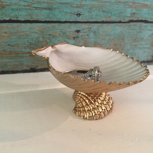 Mini Seashell Ring Holder, Gold Seashell Jewelry Holder, Natural ...