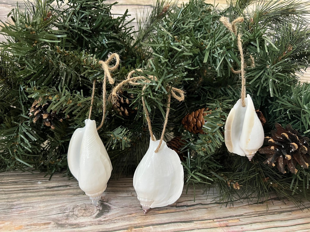 Coastal White Seashell Christmas Tree Ornaments 3, White Home Decor ...