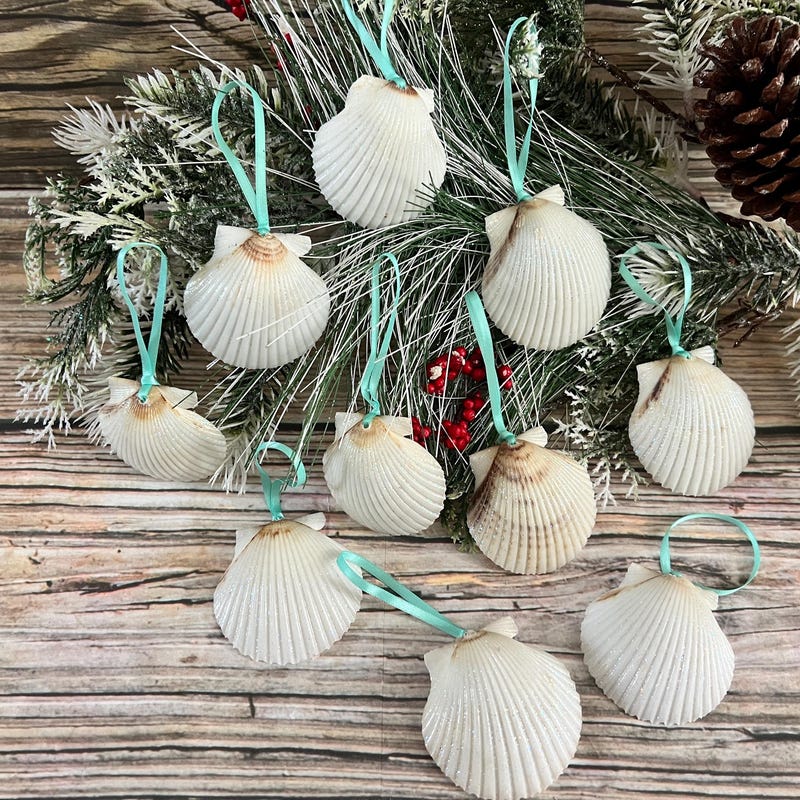 Seashell Christmas Ornaments - Etsy