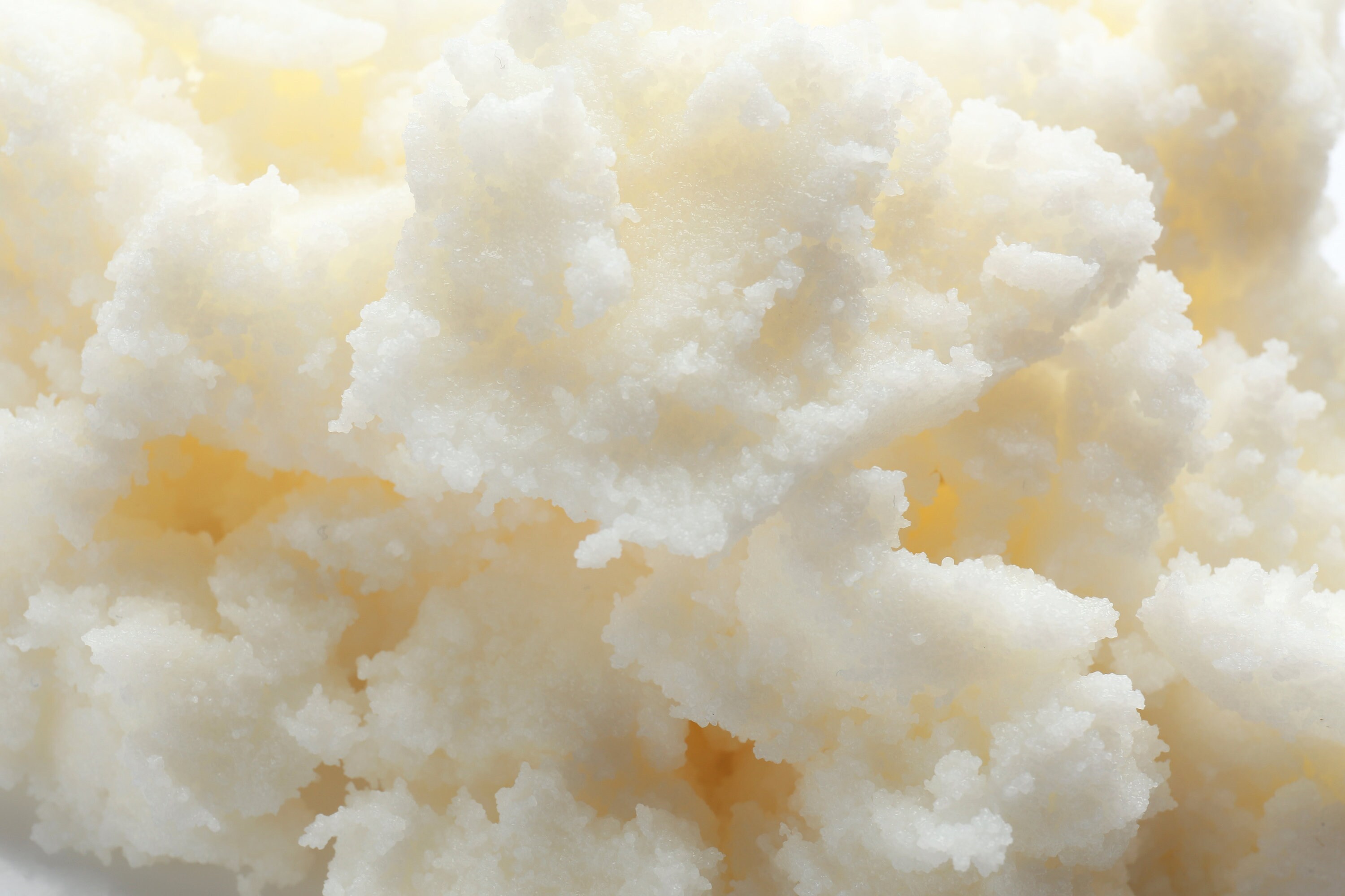 Shea Butter Pure Unrefined Raw Organically Sourced Lightly - Etsy