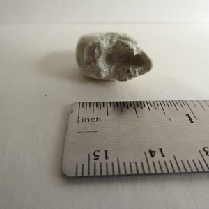Miniature Human Skull for Scientific/wizardry Dolls House - Etsy