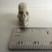 Miniature Human Skull for Scientific/wizardry Dolls House - Etsy