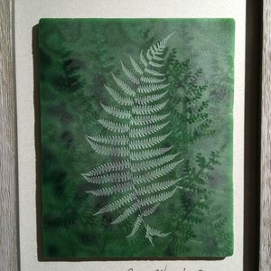 Ferns - Etsy